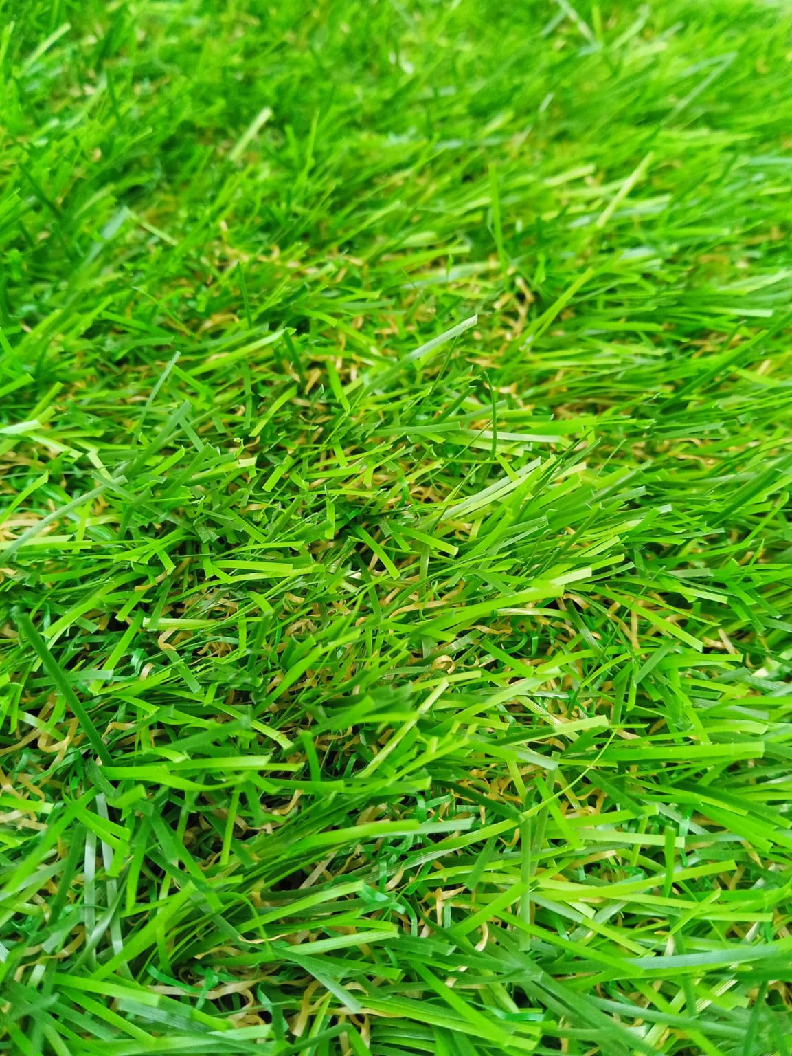 Relva Artificial 30mm 2.00x15mt (30m2) - MULTICERCAS